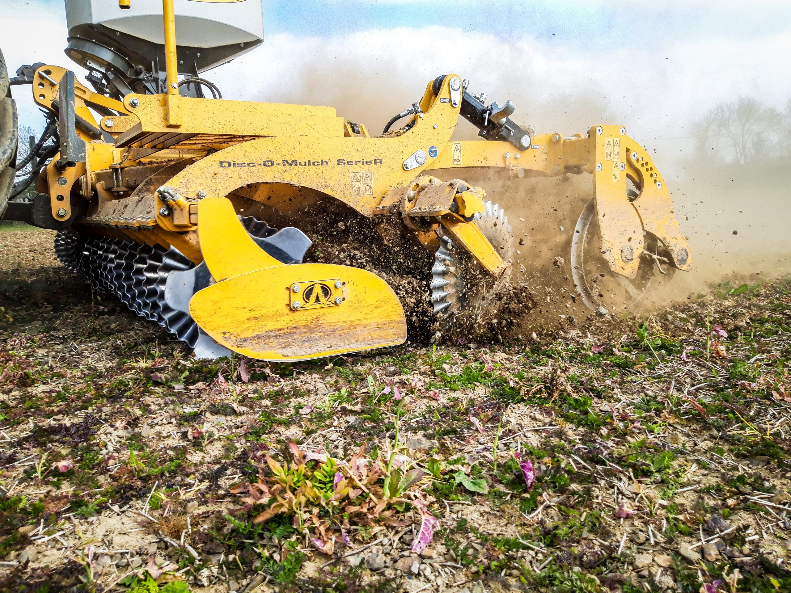 The Mulcher Discs — Agrisem